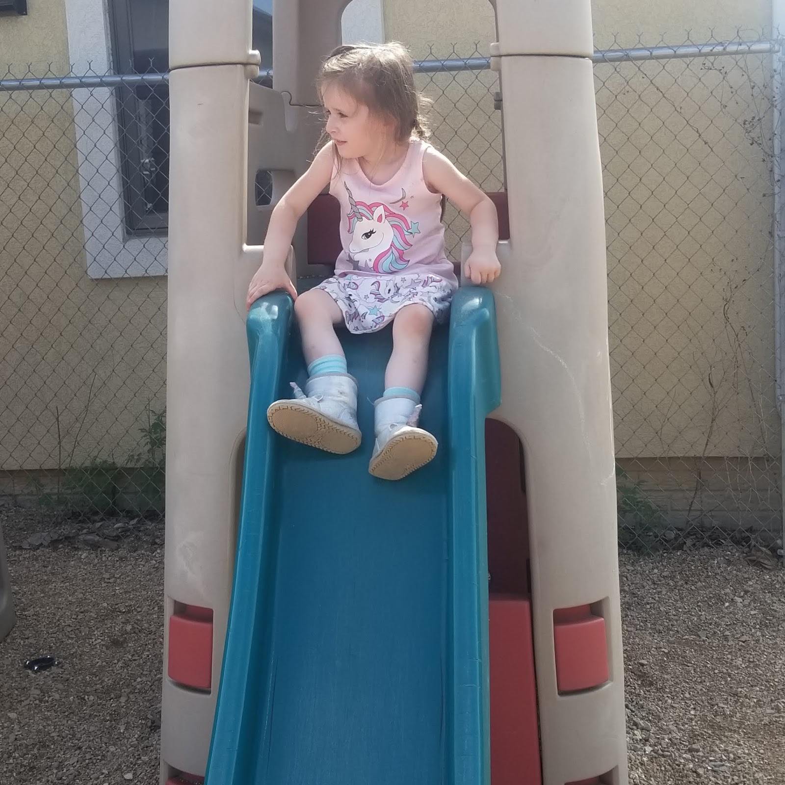 PLA Academy 2018-2019