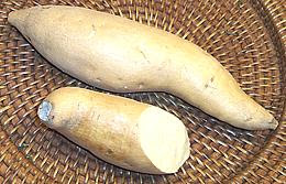 Make Your Own 6 Different Gluten Free Vegetable Flours For Cooking and ...