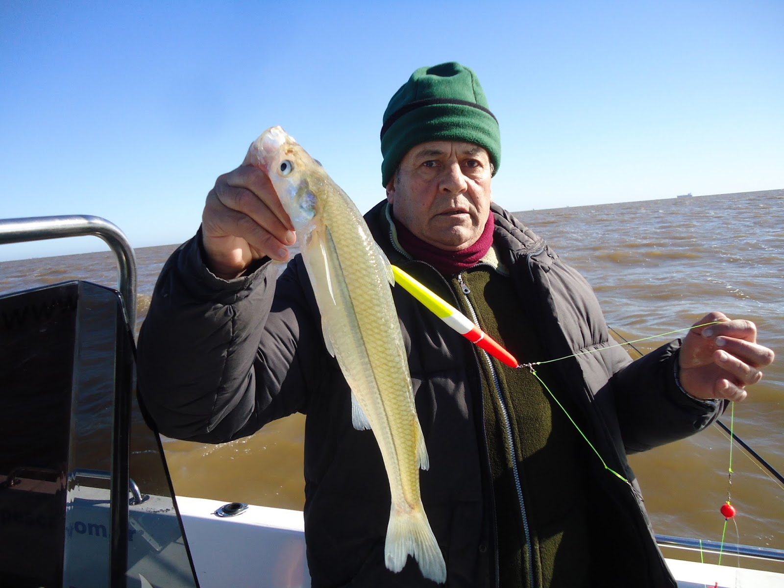 El Renegado Pesca en Berisso "Guia de Pesca Profesional": PEJES DE ...