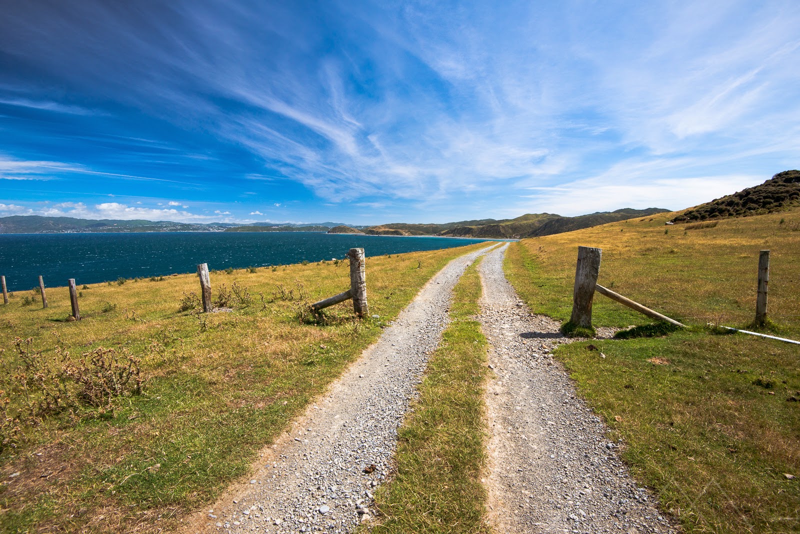 NZ Must Do: Adventures in Wellington - the walk to Baring Head ...