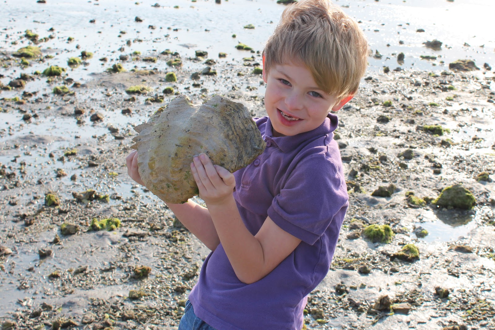 Enjoying Life With 4 Kids: Low-Tide Along our Seawall