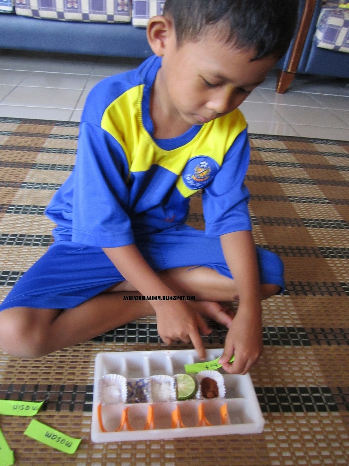 CERITA HATI: Ajar anak tentang deria rasa : Masam, masin, manis, pahit