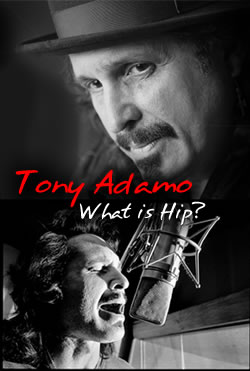 Tony Adamo NU JAZZ VOCAL TRIP BOP SPOKEN WORD: August 2016
