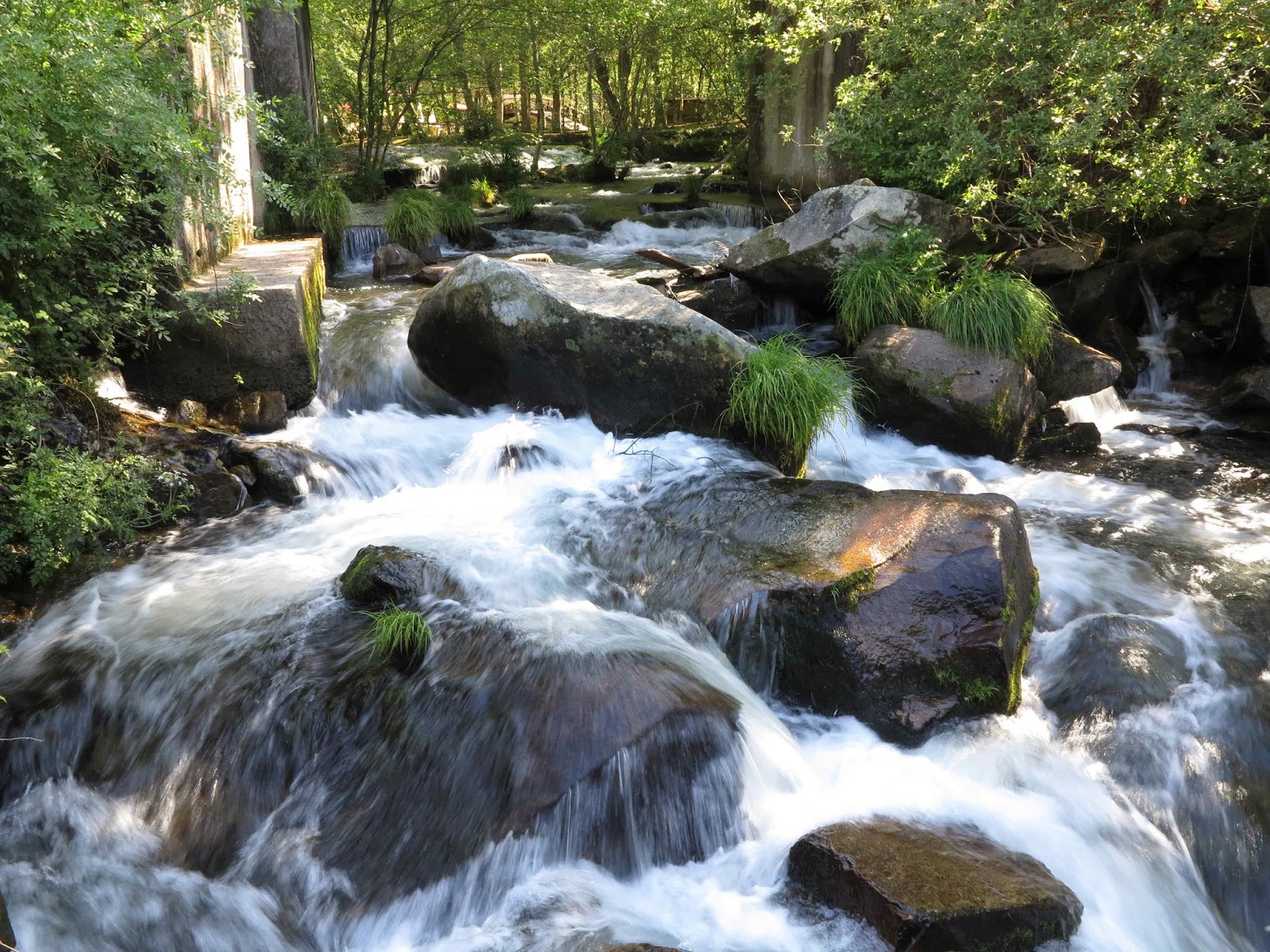 Francisco Javier Torres Goberna: Parque Natural del río Barosa (Barro)