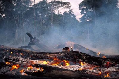 Expedition Earth: Shifting cultivation