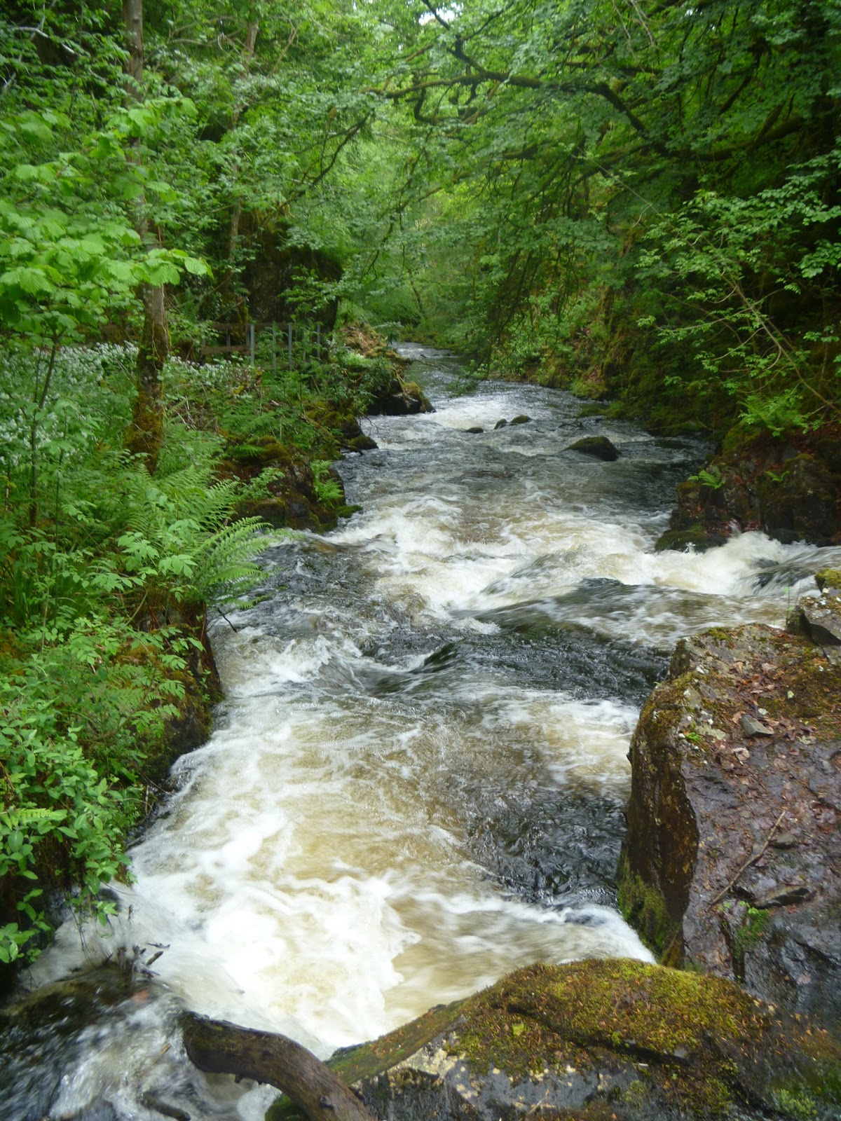 Desmondo's Ramblings: Ness Glen - Wee & Big Hill of Glenmount