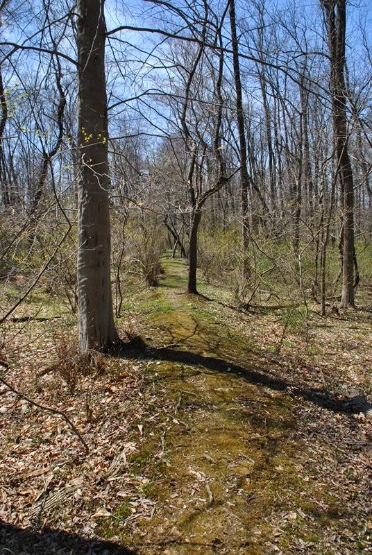 Southeastern PA Hiking: Binky Lee Preserve