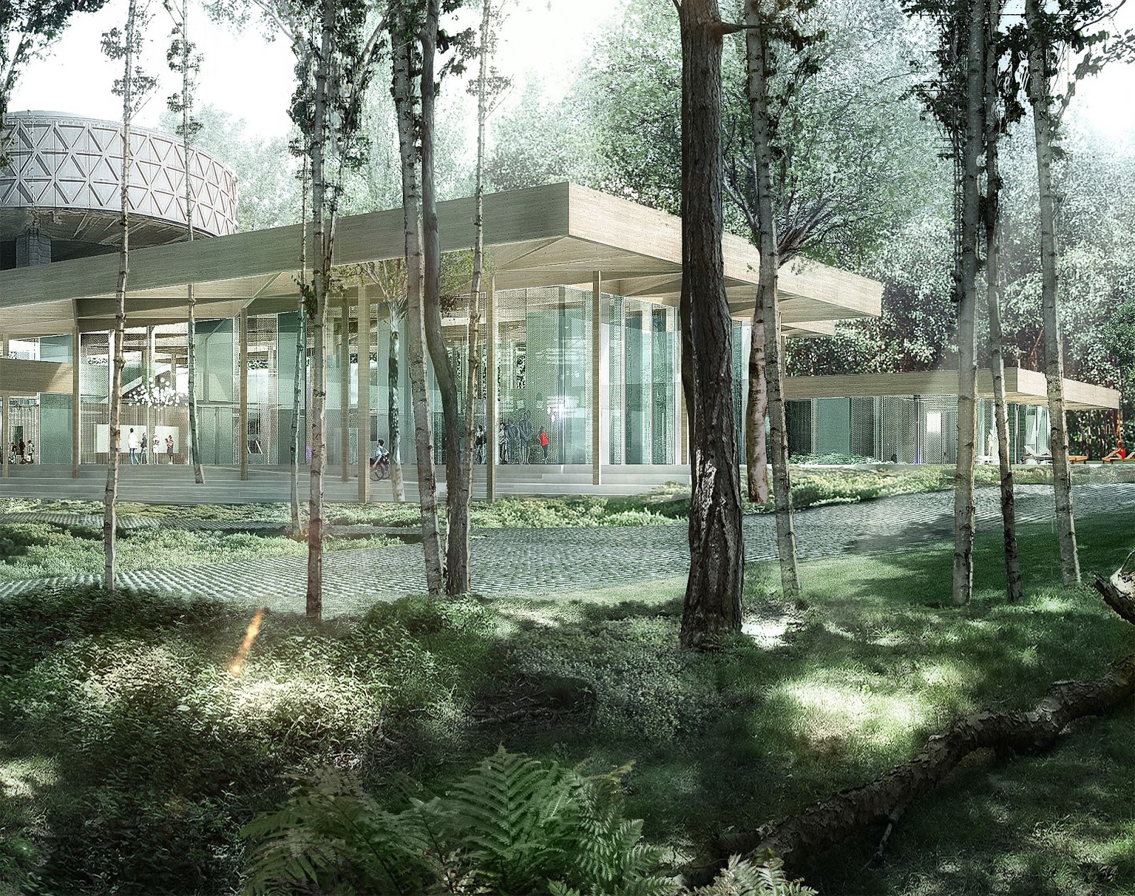 COBE – a f a s i a