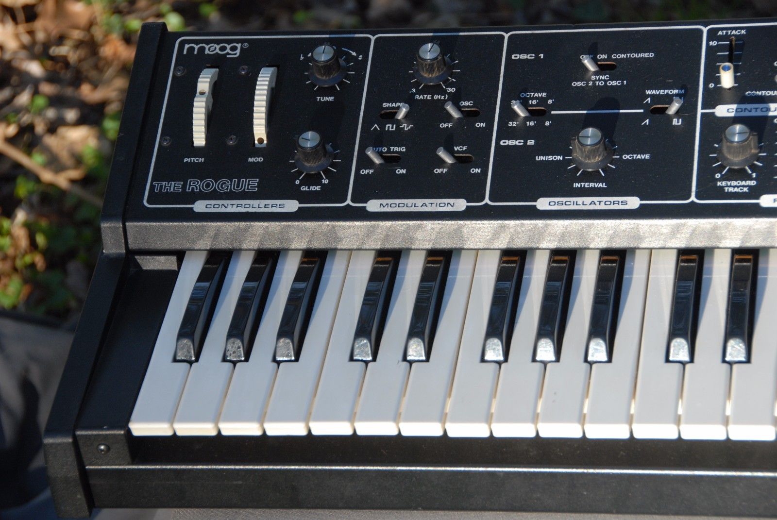 MATRIXSYNTH: Vintage Moog The Rogue Synthesizer