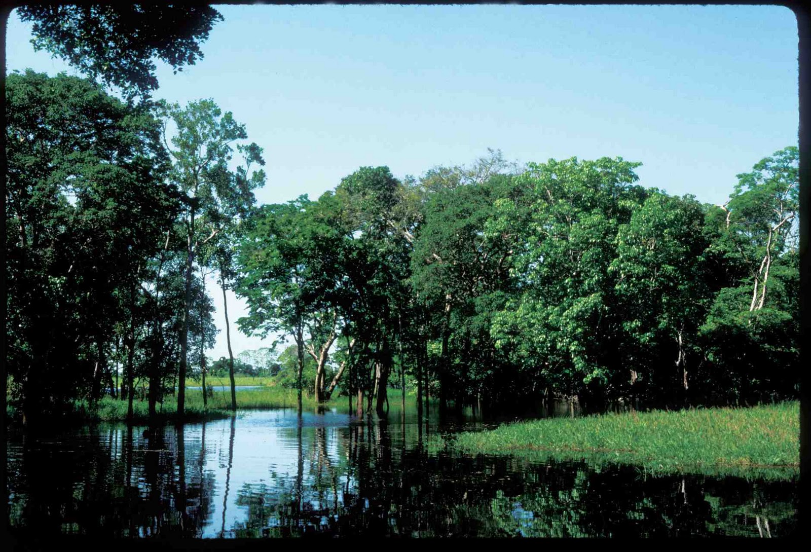Los climas en el Ecuador