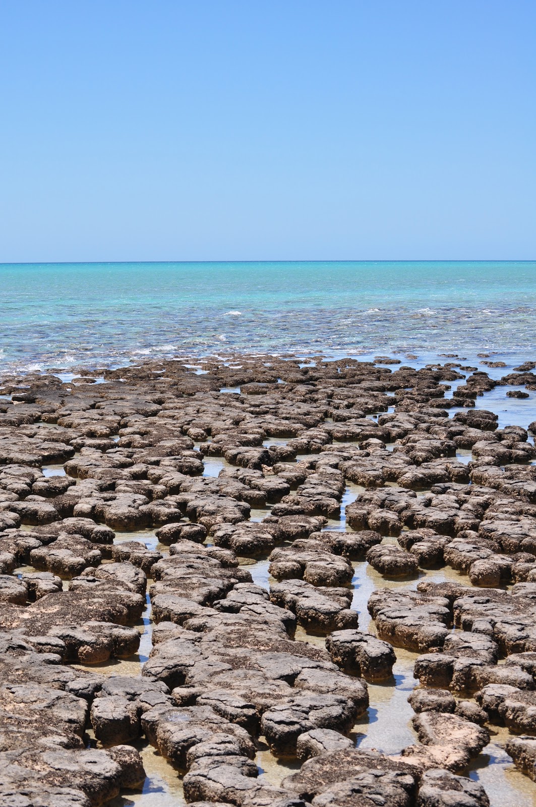 West-Australien: Shell Beach und West Coastal Highway