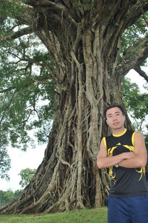 INTERNET SPECIALIST: Old Balete Tree