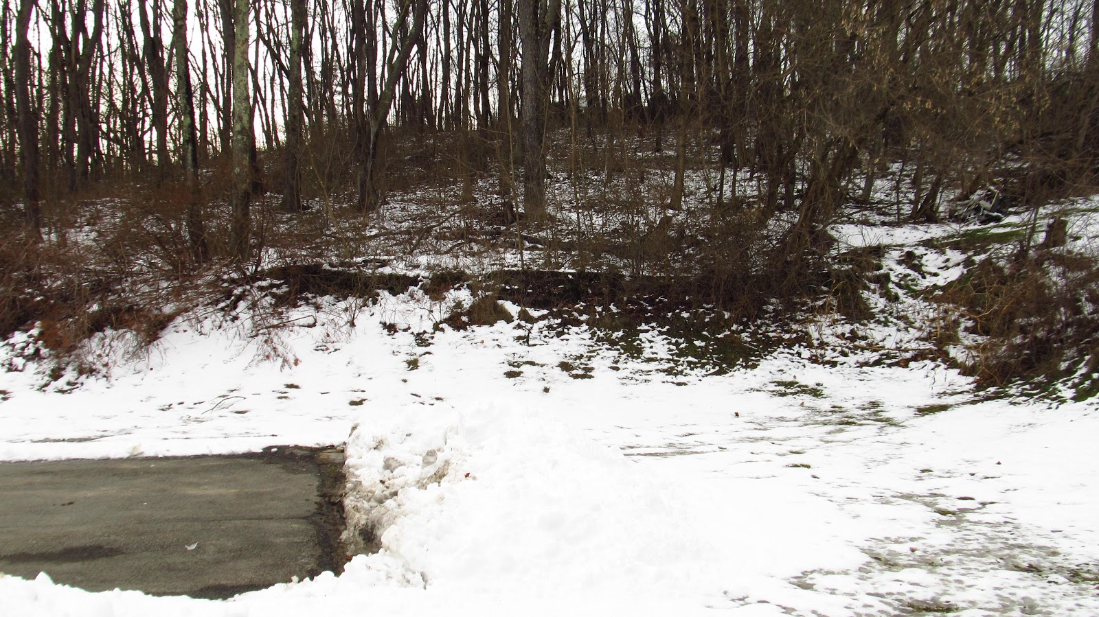 Old Industry of Southwestern Pennsylvania : Export, PA and the Export Mines