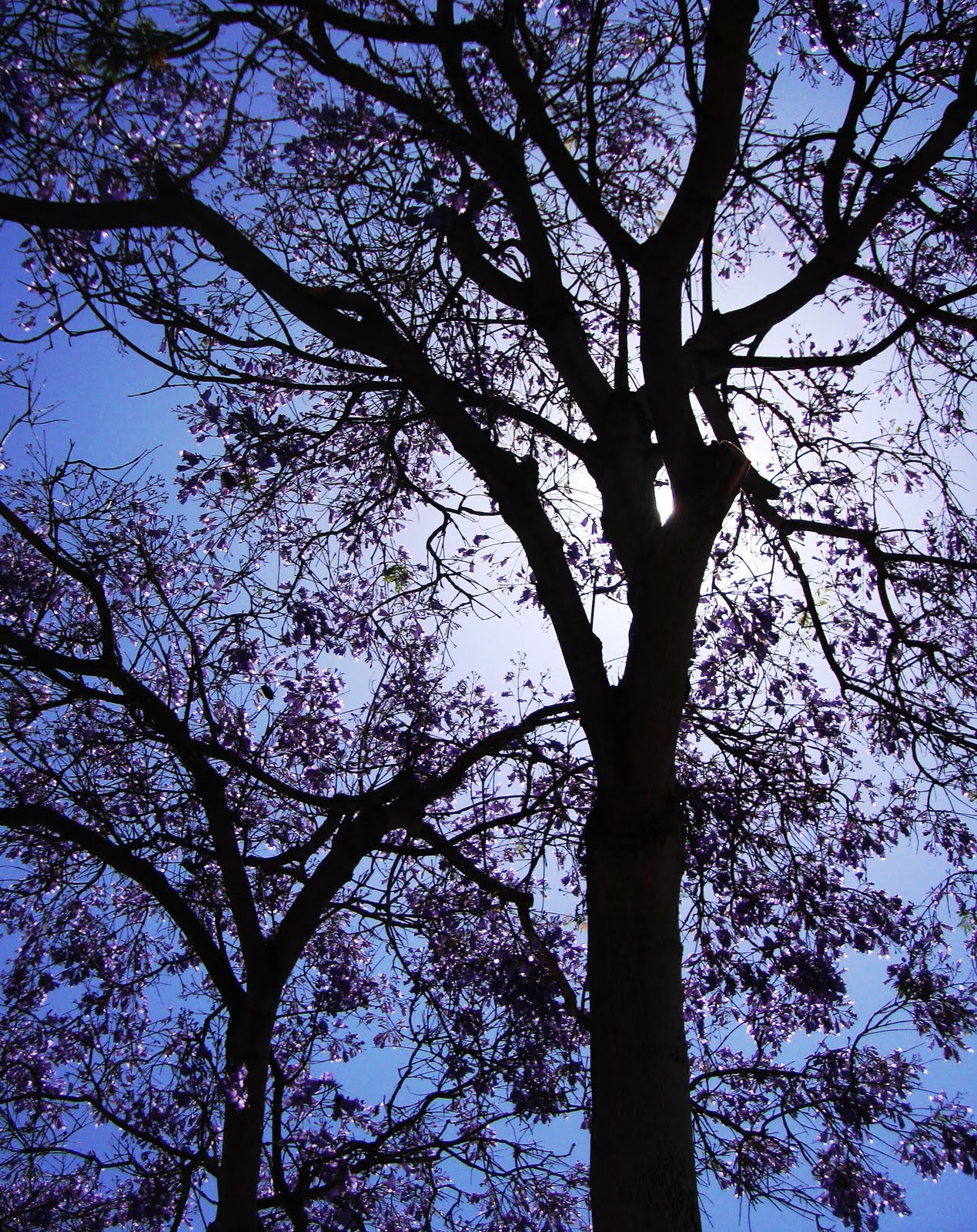 The way I see it - A photographers blog