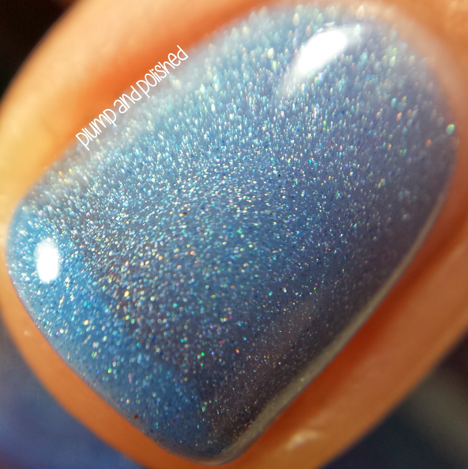 Plump and Polished: ZR's Polish - Ashley Holo Collection