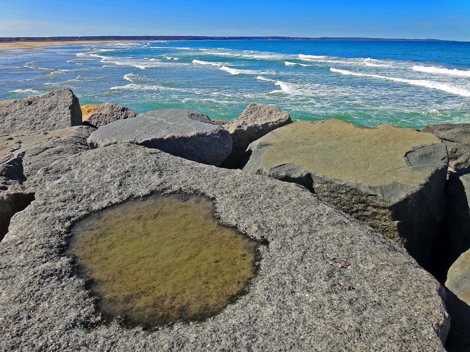 Joe's Retirement Blog: Sagamore Hill, Scusset Beach State Reservation ...