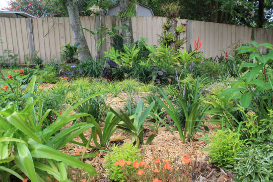 The Rainforest Garden: 7 Ways to Fix an Ugly Garden with Plants