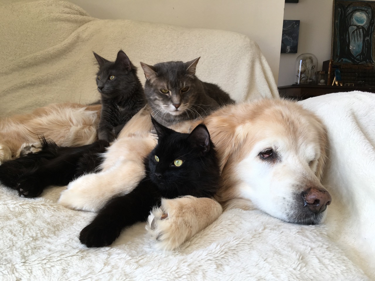 The Wood Beyond The World: 03/01/2019 - 04/01/2019