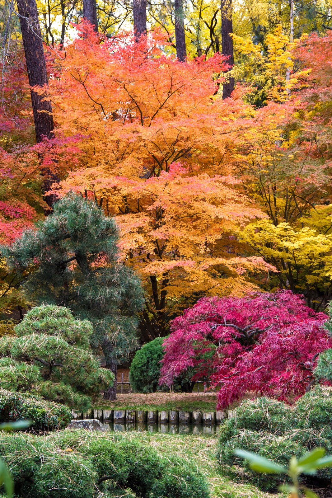 The Paper Boutique: Manito Park