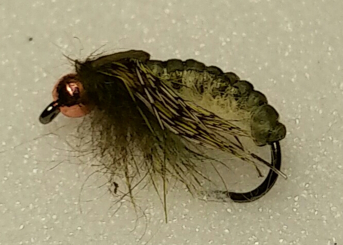 Piscari-Fly : Sedge Pupa Nymph