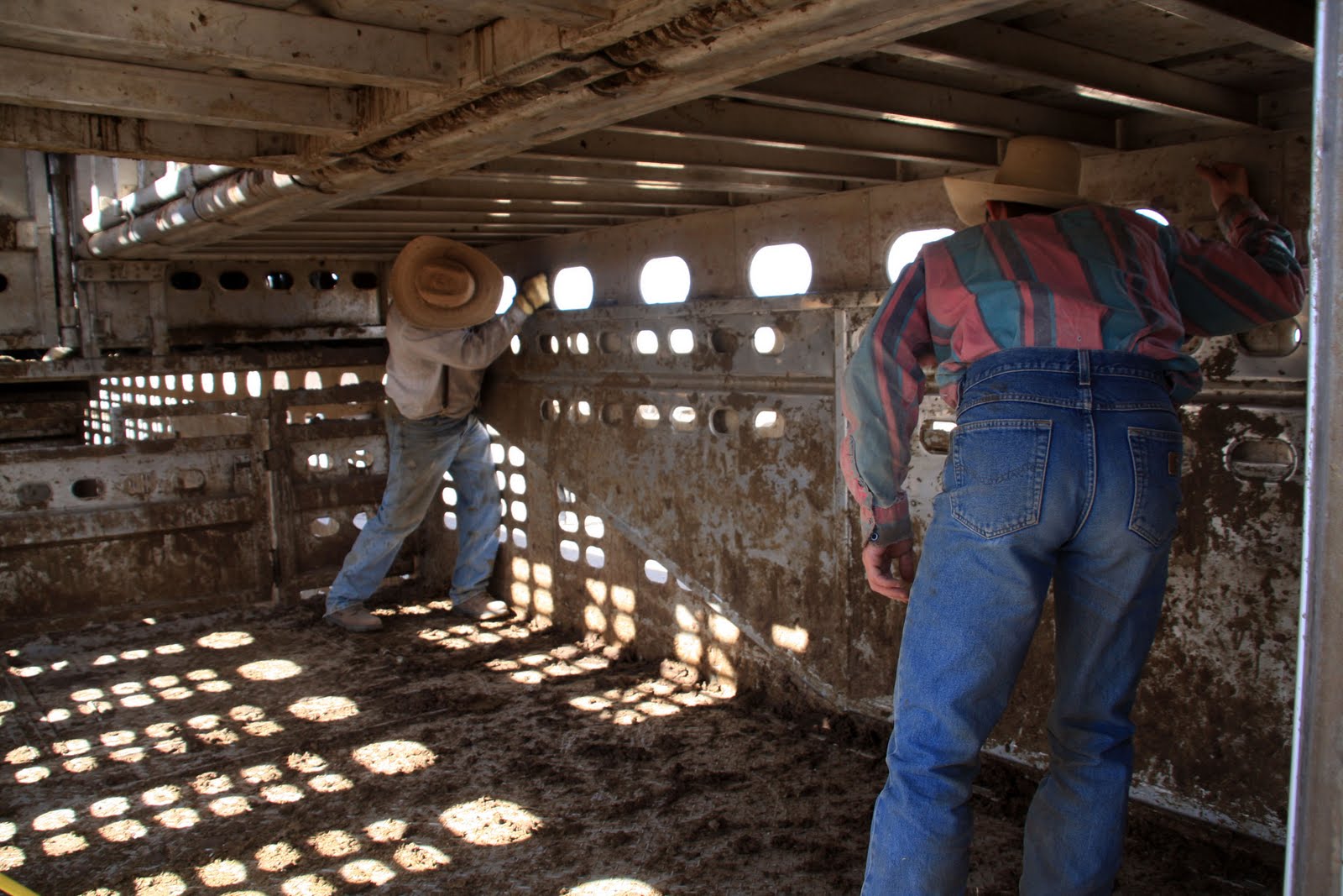 Double H Photography: Loading a Cattlepot