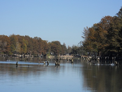 The Angler Advocate: The Stumpy Stumps of Lake Dunlap
