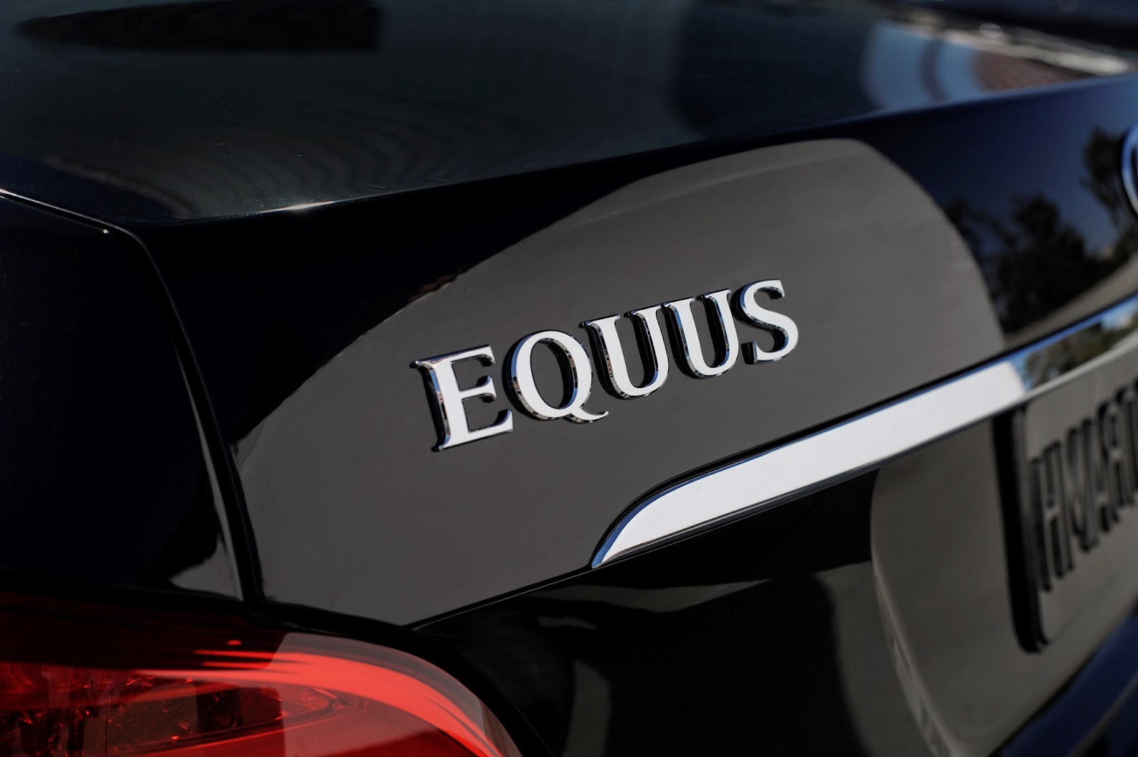 BLOG DO PAREDINHA: EQUUS – REQUINTE, DESIGN E DESEMPENHO
