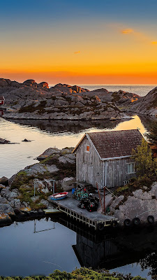 Fondo android pack 195