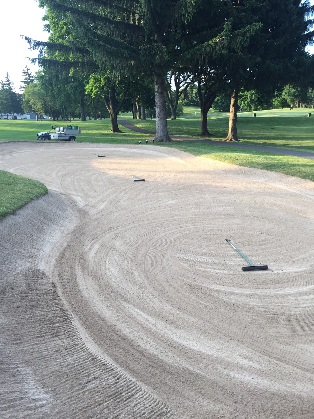 Bellevue Grounds: Bunker Rake Placement In The Middle Of Bunkers.