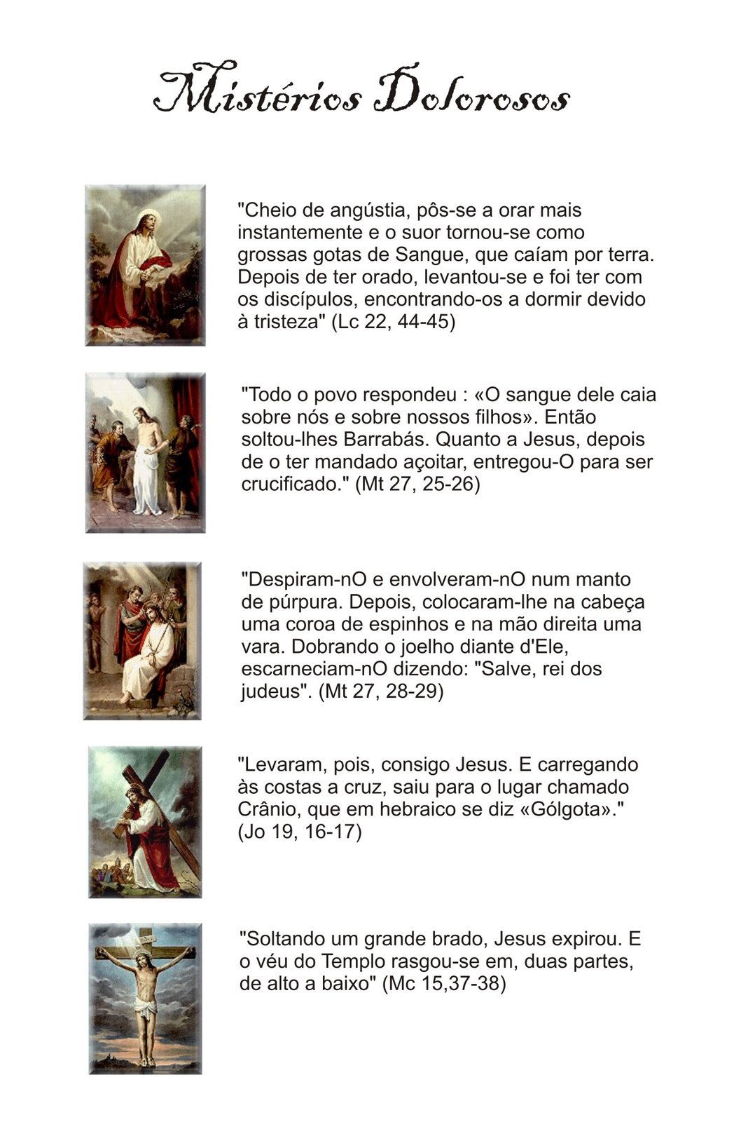 MISTÉRIOS DOLOROSOS DO SANTO ROSÁRIO | Passos em Flor