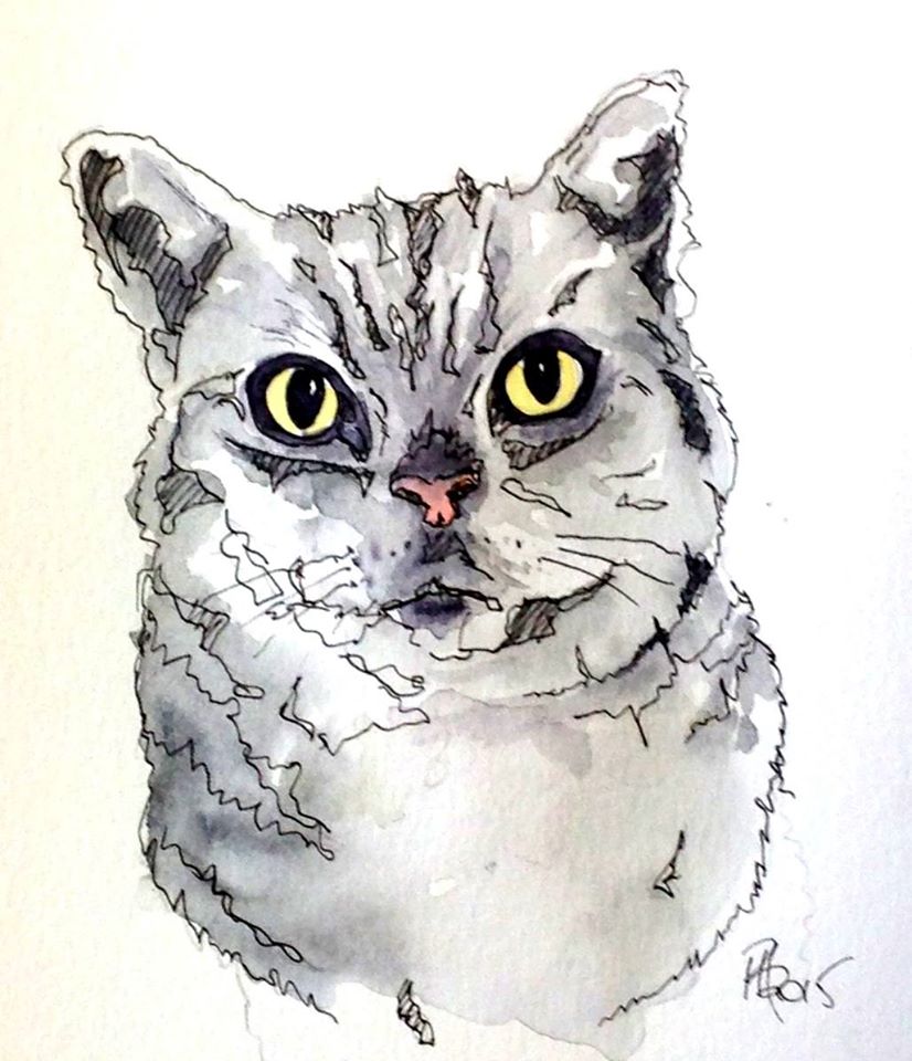 The 52-Week Illustration Challenge: 2015