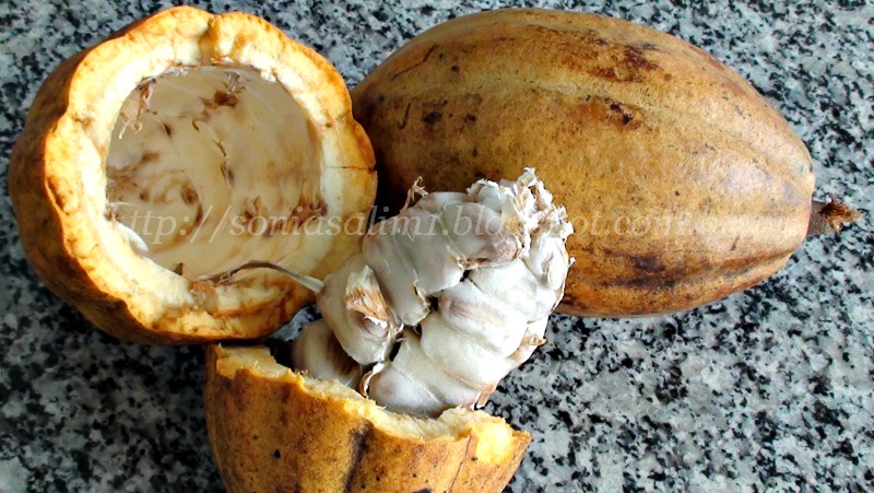 Chocolate - doce de cacau