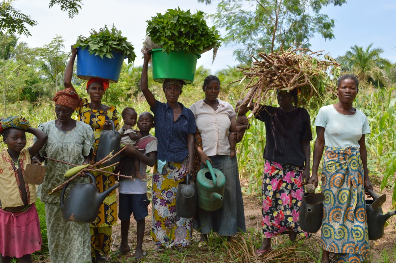 Maison du Développement Rural de Ngandajika