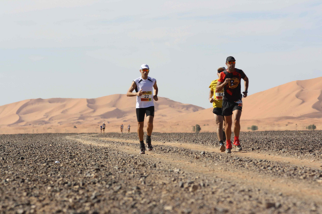 Un Blog de llarga distancia: DESERT RUN 2011
