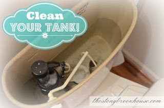 ORGANIZATION | The Stonybrook House