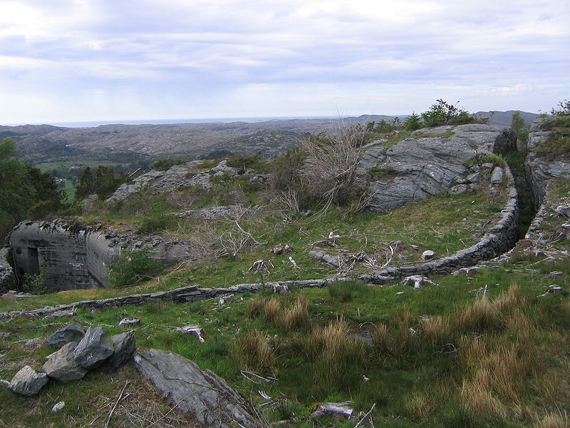 Mr Boot's Axis Blog: Fjell Festning: A Brief Overview 1