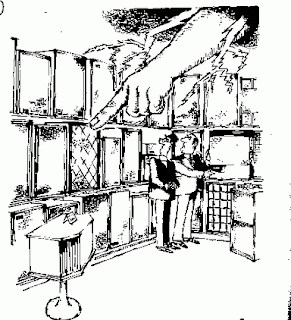 Rochester High End Audio: Rodriguez cartoons