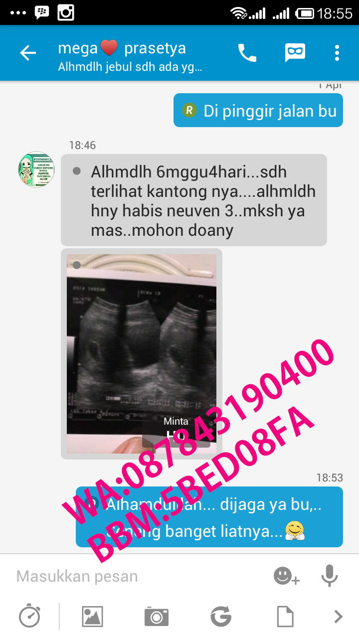 HARGA PROMIL HOLISTIC NEUVEN | ALFALFA | SEAGOLD - HERBAL BEE