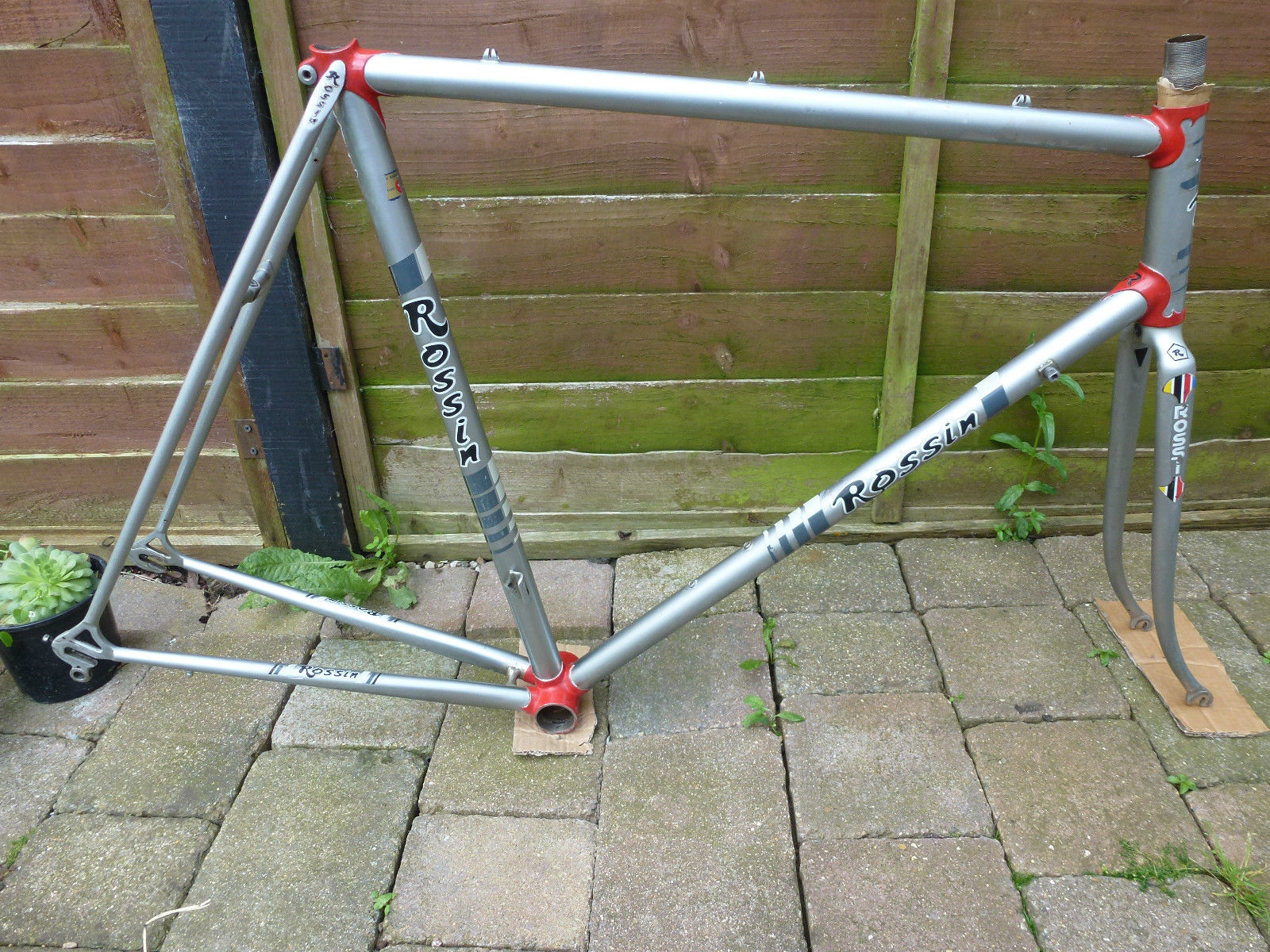 Lightweight Classics: 1985 - Rossin Record