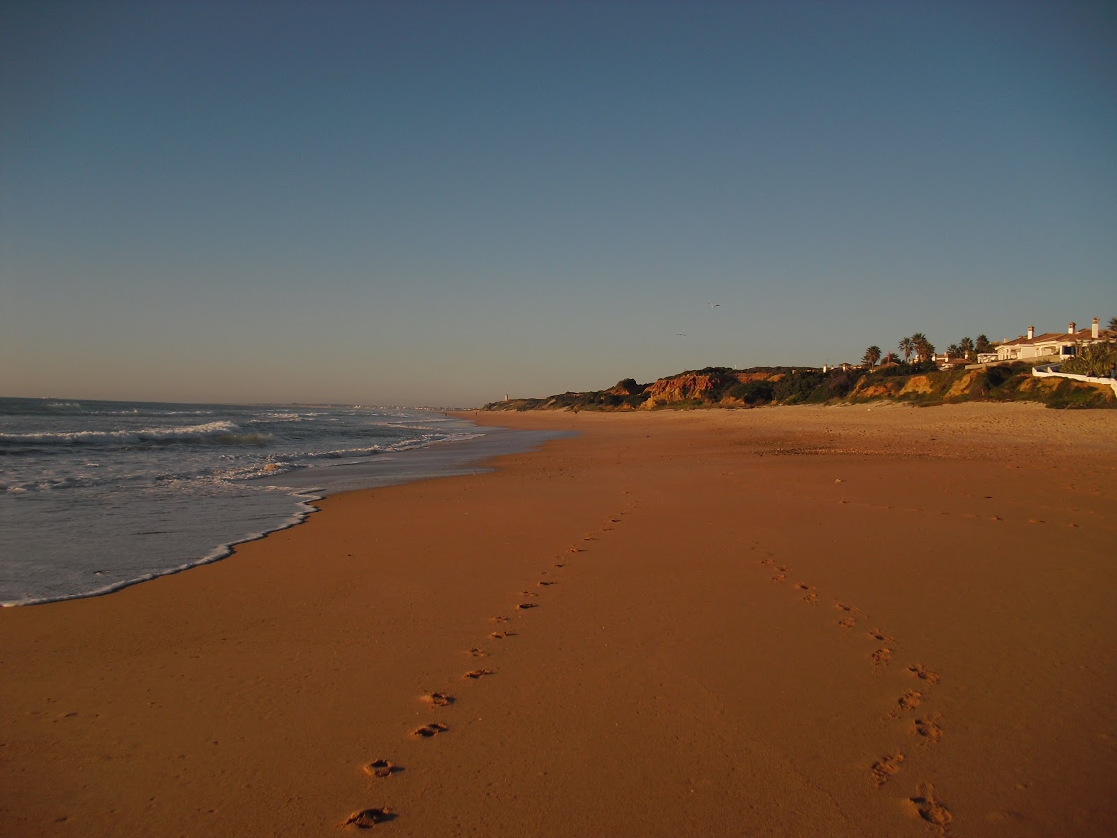 Playas de Cadiz: La playa de Roche