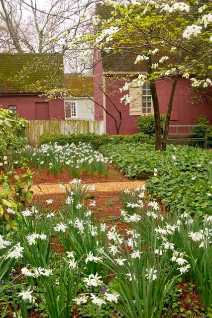 Plants & Gardens in Colonial & Early America: Historic Gardens - Spring ...