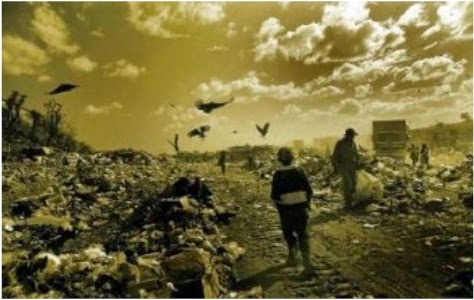 LA REALIDAD: ENFERMEDADES DEBIDO AL SUELO CONTAMINADO