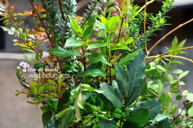 Flor de Murta