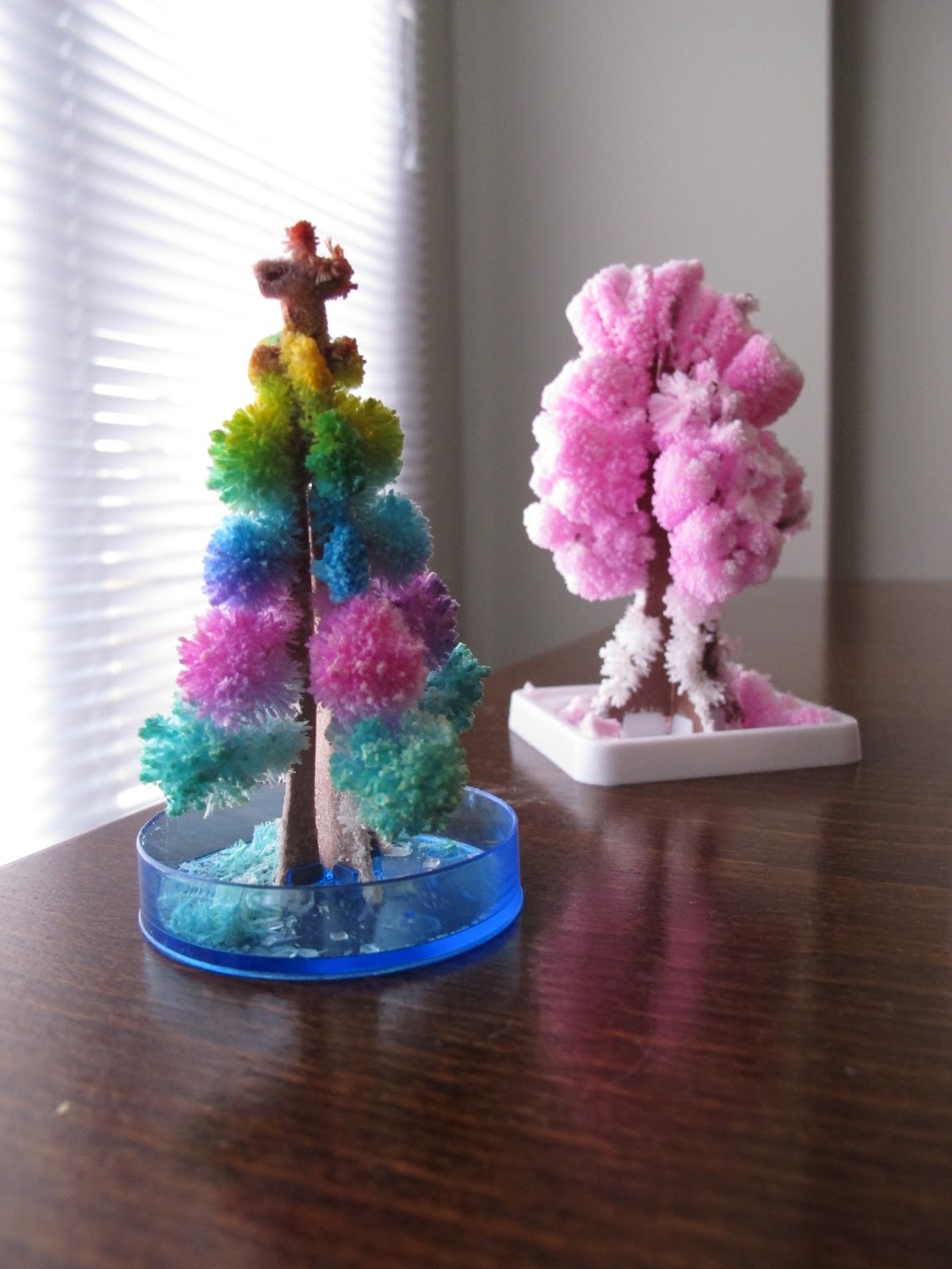 Chubby, Chub, Chub....: Crystal Growing Mystical Tree Experiment