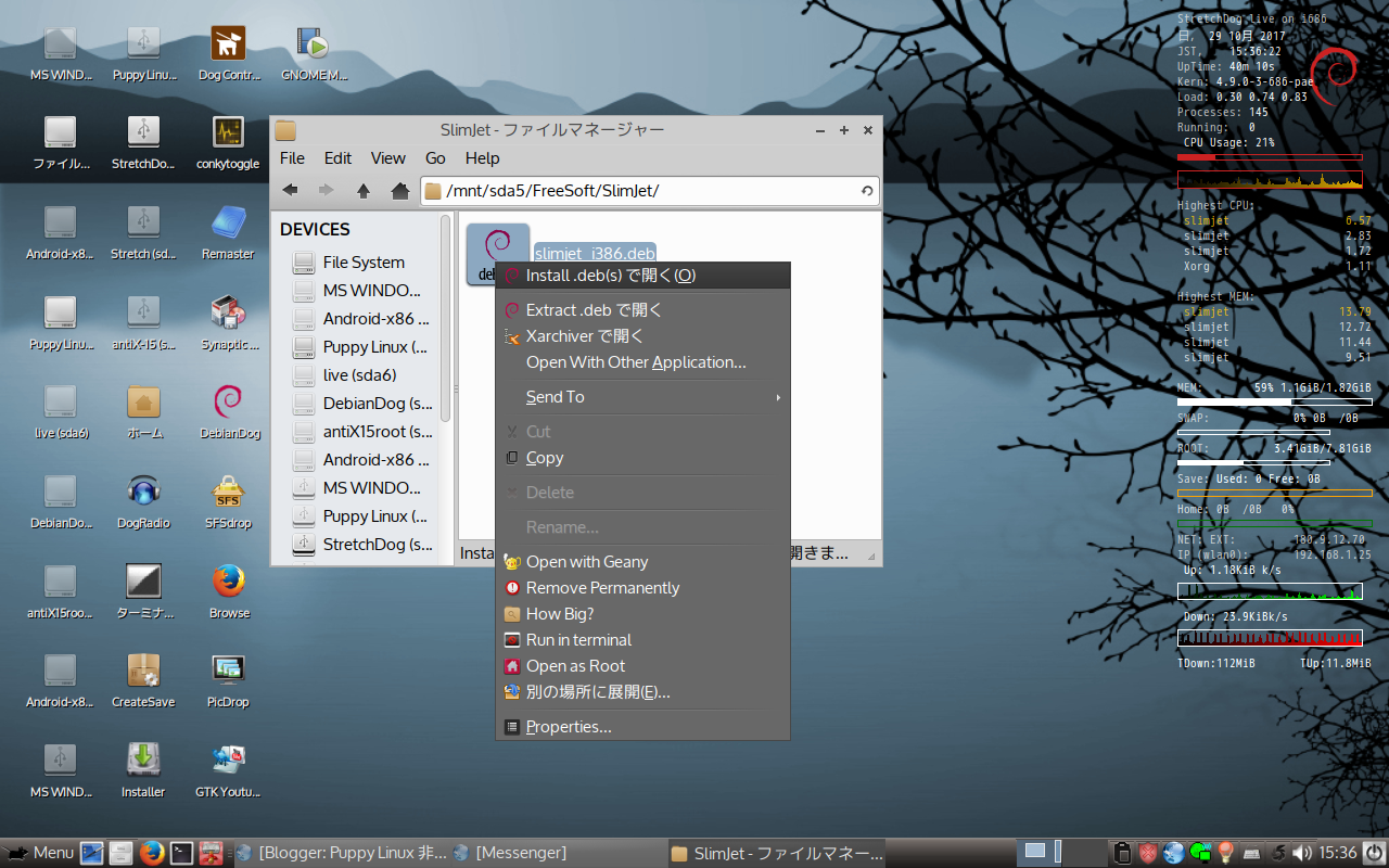 軽量Linux：速さとプライバシー保護が完璧なブラウザーSlimJetをStretchDogに導入！ : Windowsはもういらない