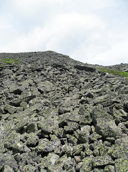 Hiking in the White Mountains: The Abandoned Adams Slide Trail