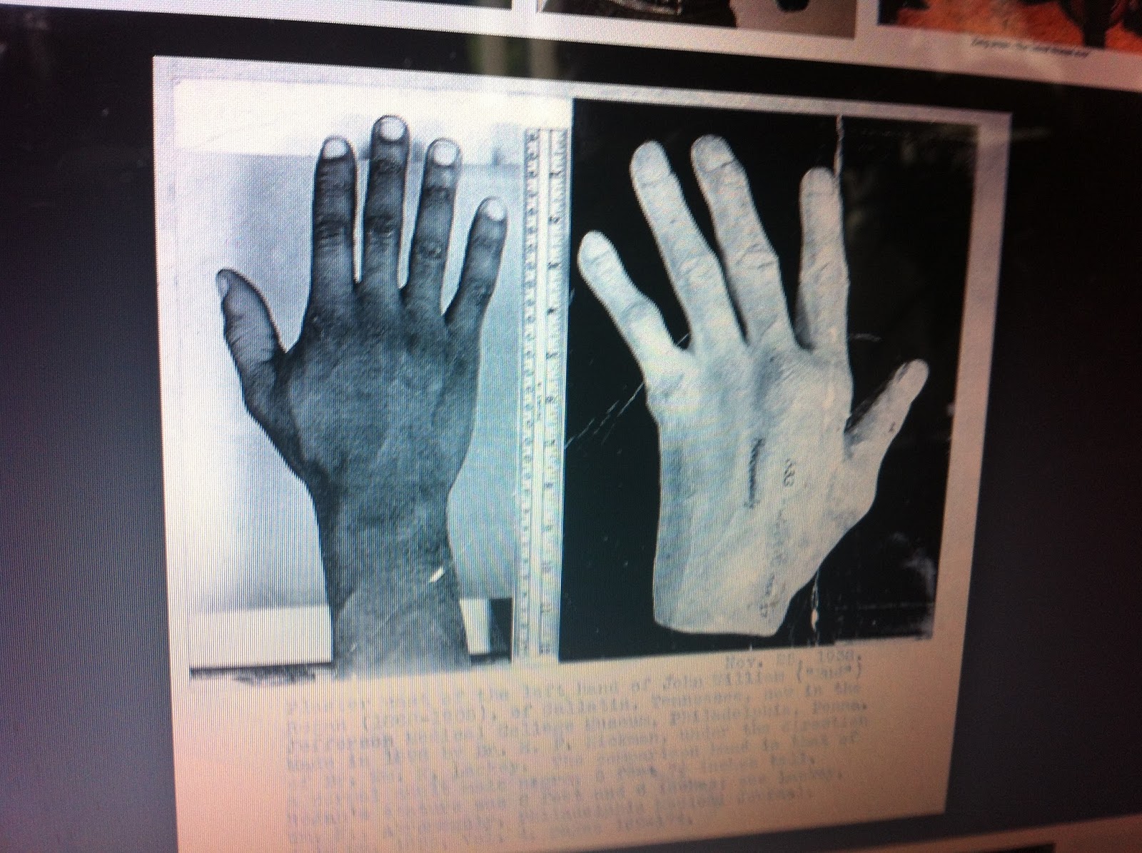 THE BLACK SOCIAL HISTORY:: BLACK SOCIAL HISTORY : AFRICAN AMERICAN ...