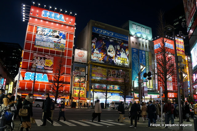 15 lugares para conhecer em Tóquio, Japão - Felipe, o pequeno viajante
