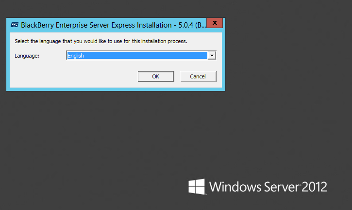 A Day in The Life of an Exchange Guy: Installing BES Express 5.0.4 on ...