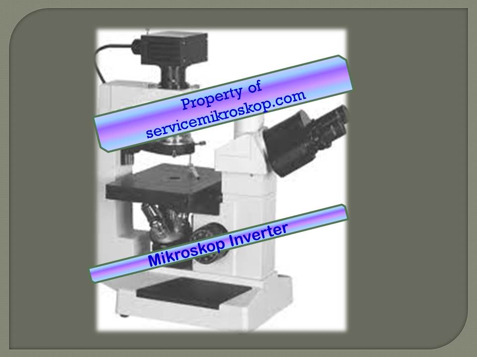 Macam macam mikroskop